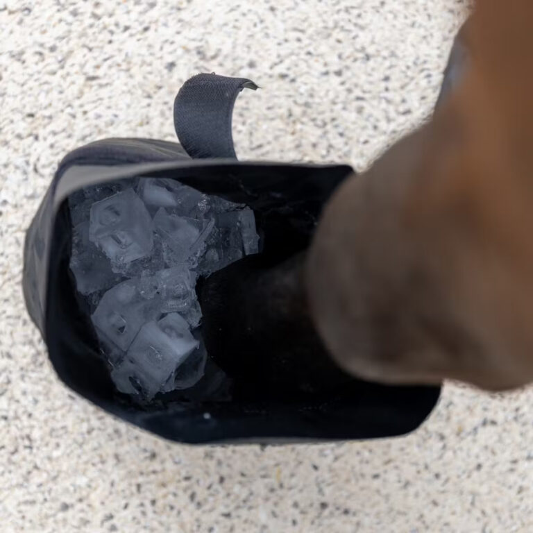 Kentucky Horsewear - Bottes de Soin & Refroidissement Noir - Myver Sellerie